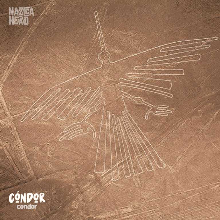 Nazca Lines Hoodie - Cóndor | NazcaHead - Pre-Columbian Online Store