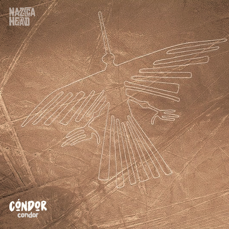 Nazca Lines Hoodie - Cóndor | NazcaHead - Pre-Columbian Online Store